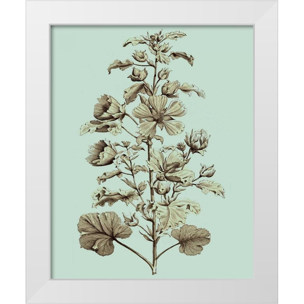 Munting, Abraham 12x14 White Modern Wood Framed Museum Art Print Titled ...