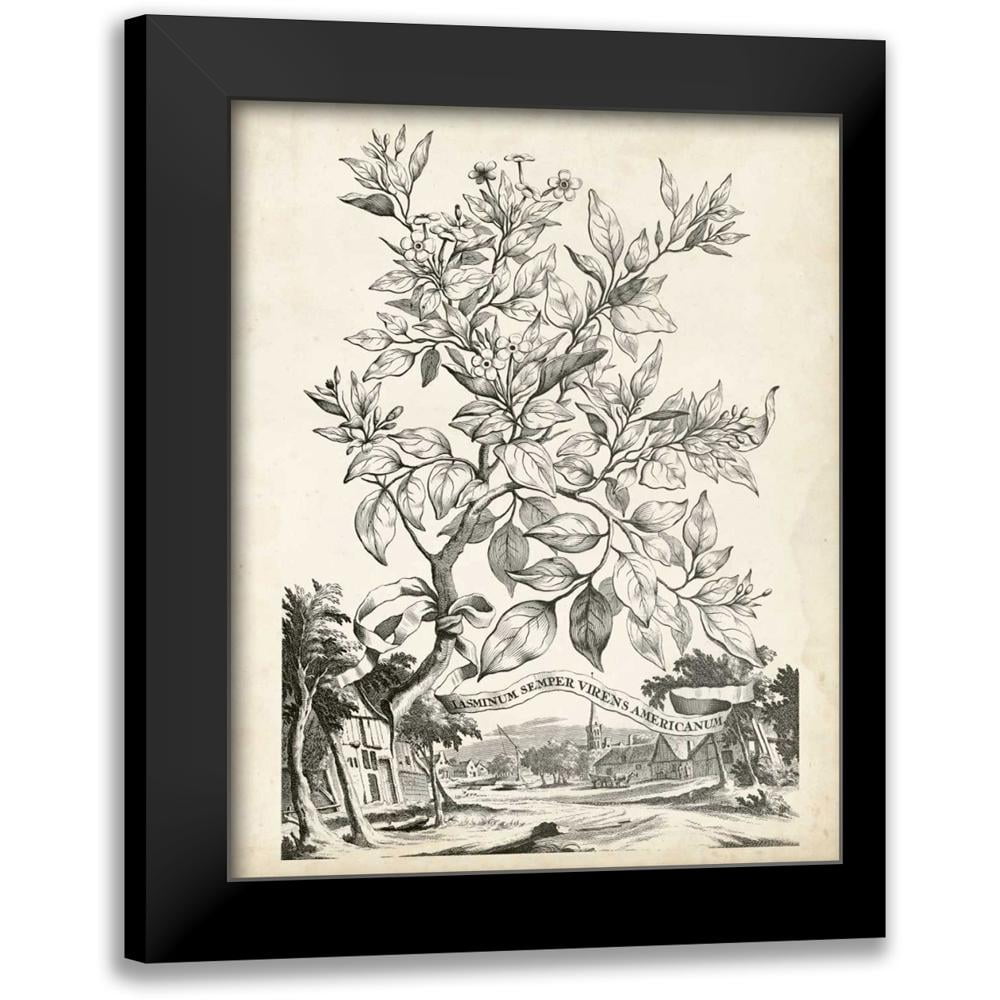 Munting, Abraham 15x18 Black Modern Framed Museum Art Print Titled ...