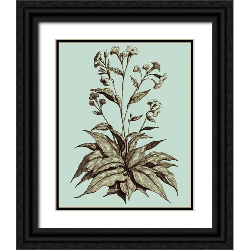 Munting, Abraham 15x18 Black Ornate Wood Framed with Double Matting ...