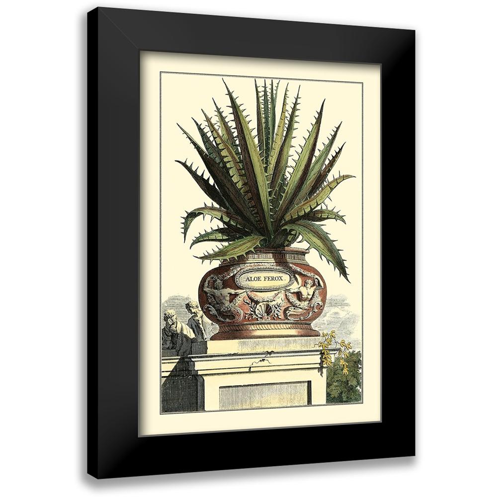 Munting, Abraham 17x24 Black Modern Framed Museum Art Print Titled ...