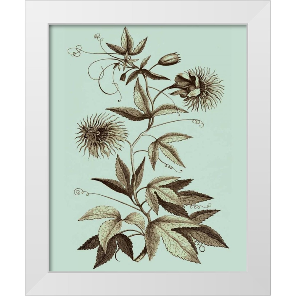 Munting, Abraham 26x32 White Modern Wood Framed Museum Art Print Titled ...