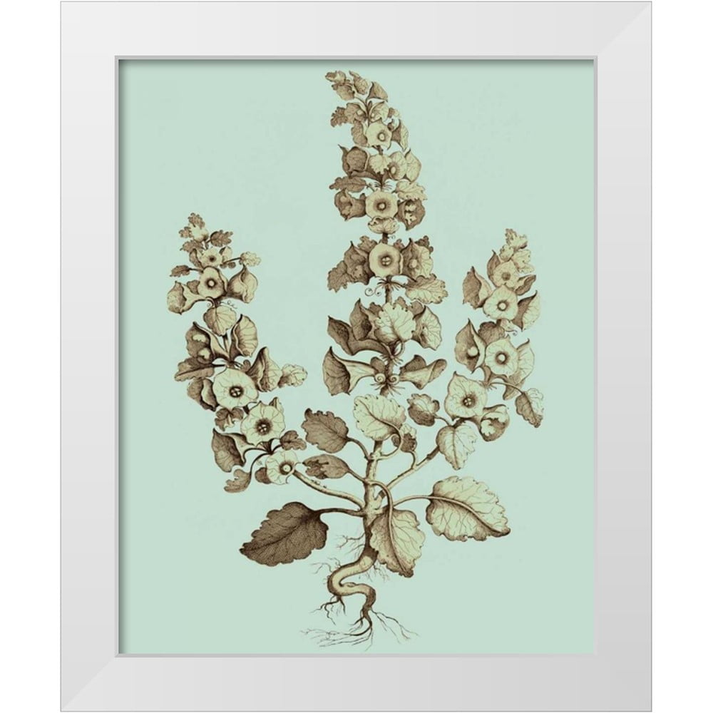 Munting, Abraham 26x32 White Modern Wood Framed Museum Art Print Titled ...