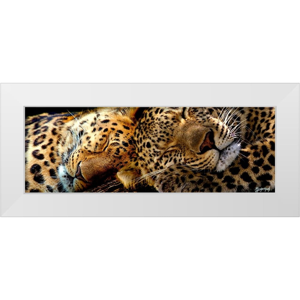 Murray Henderson Fine Art 18x9 White Modern Wood Framed Museum Art ...