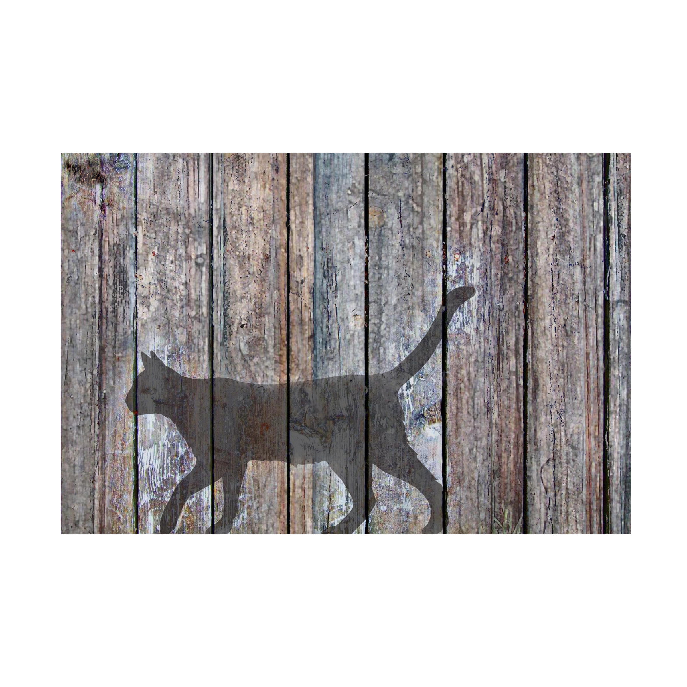 Murray Henderson Fine Art 'Barn Cat Shadow 5' Canvas Art - Walmart.com