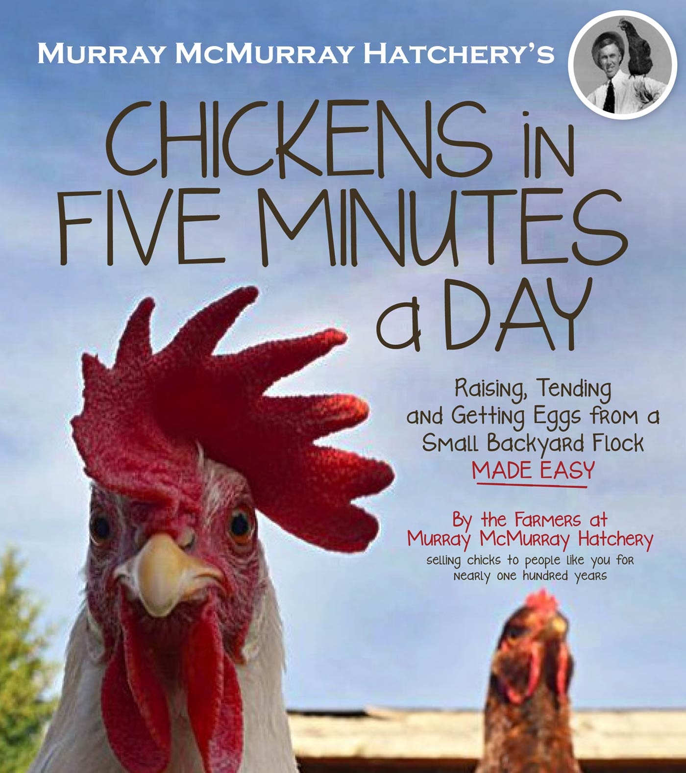 Murray Mcmurray Hatchery's Chickens in Five Minutes a Day - Walmart.com