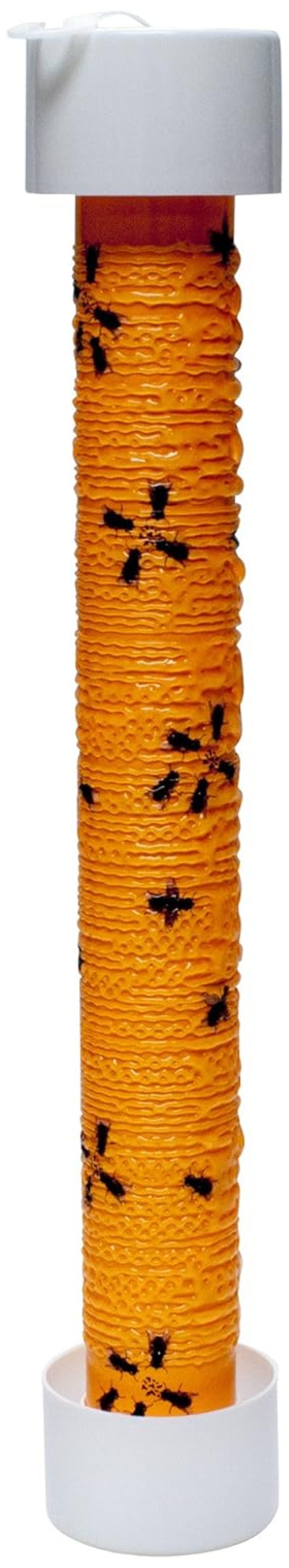 MOWENTA Indoors Outdoors Pest Bait Killers Traps Stick, 12 Inches ...