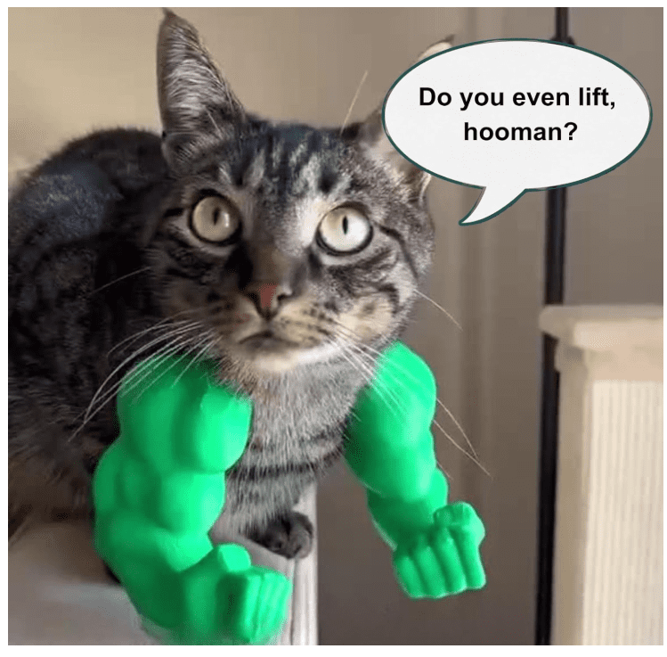 Muscle Cat Hulkks Arms, 3D Printed Cat's Neck Arms with Muscle ...