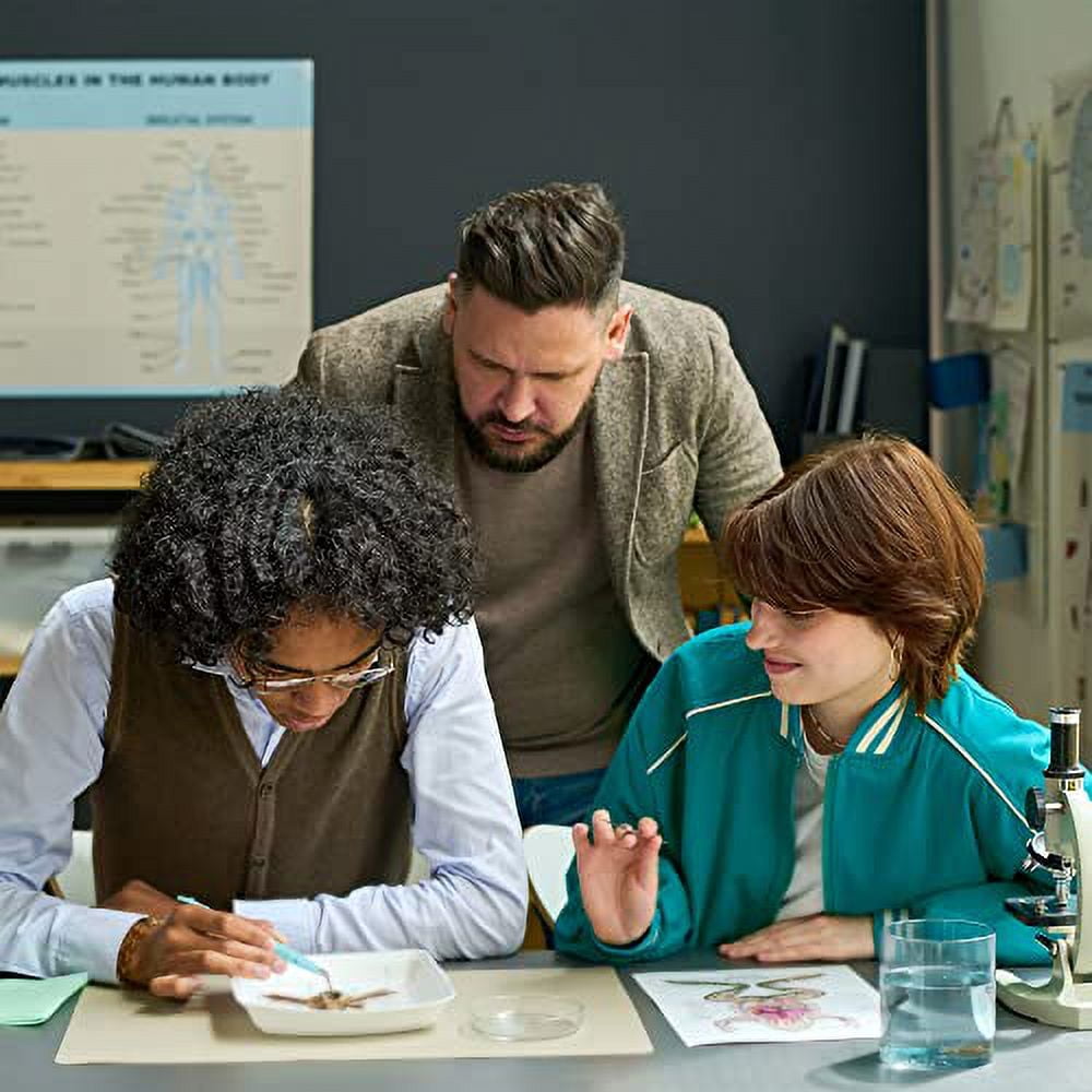 Muscles of the Abdomen and Ribs Laminated Anatomy Chart - Walmart.com