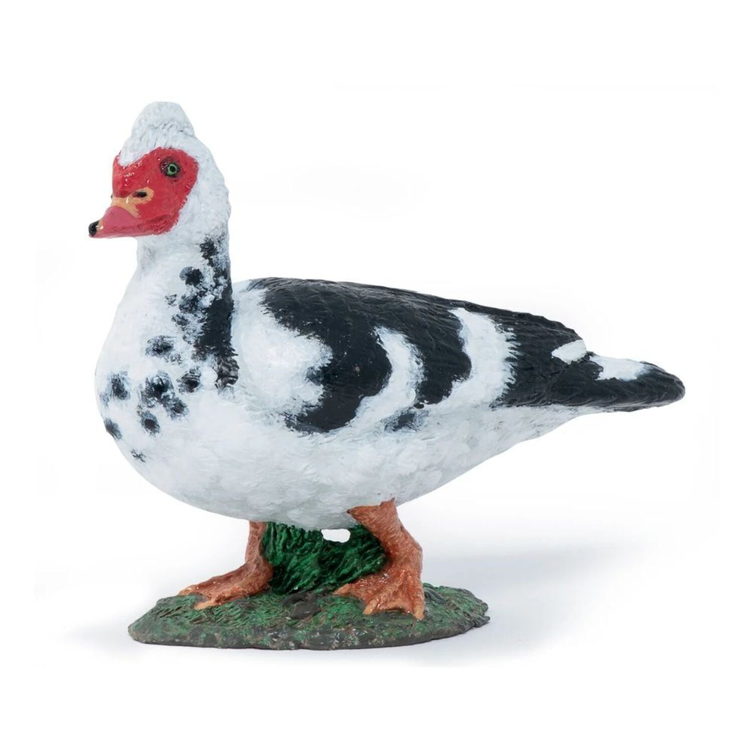 Muscovy Duck - Walmart.com