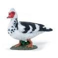 Muscovy Duck - Walmart.com