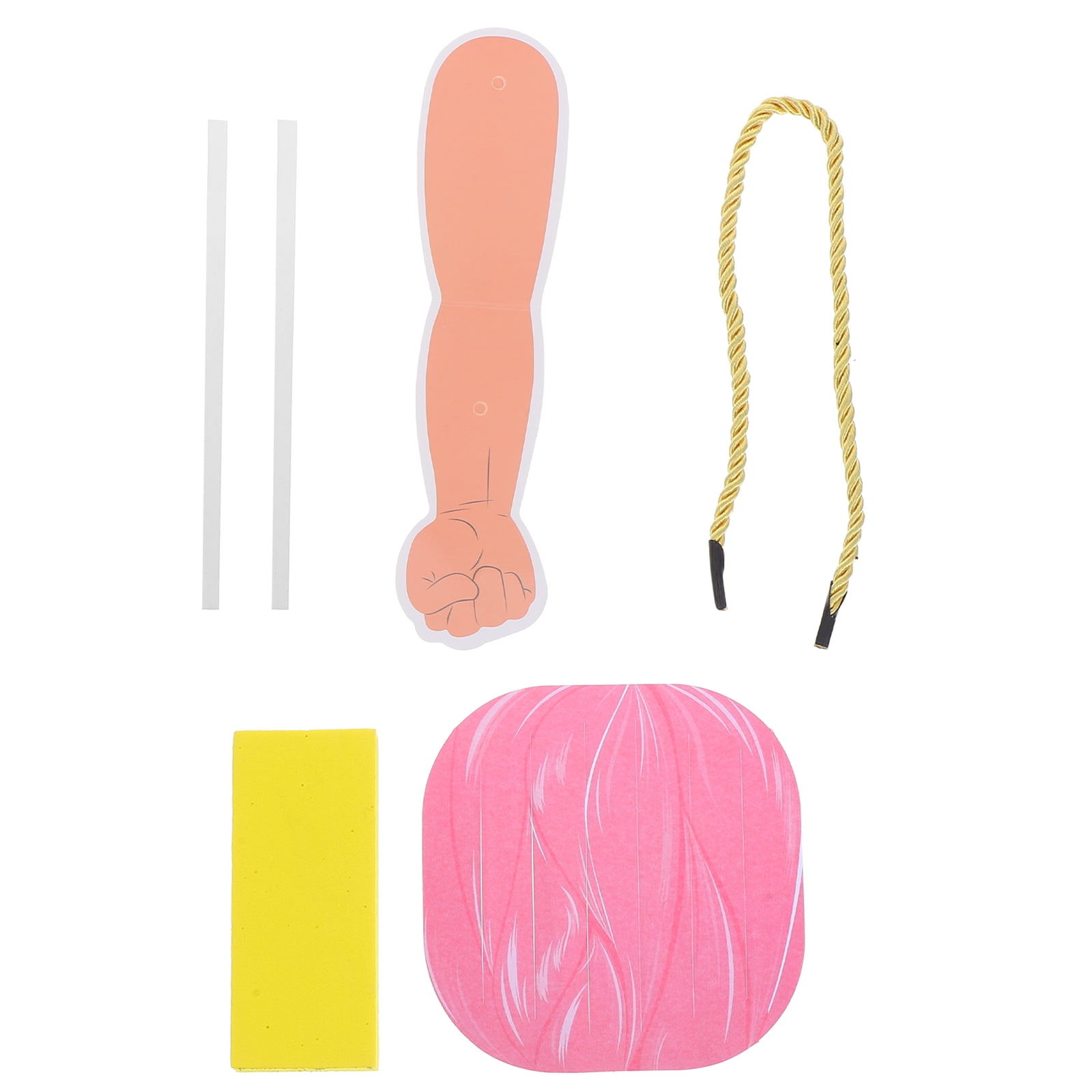 Muscular System Model Anatomy and Physiology Models Paper Muscle ...