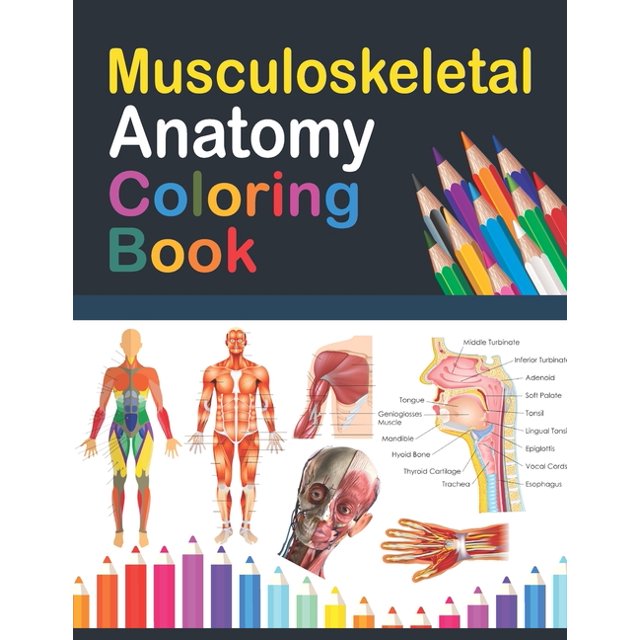 Musculoskeletal Anatomy Coloring Book : Musculoskeletal Anatomy Student ...