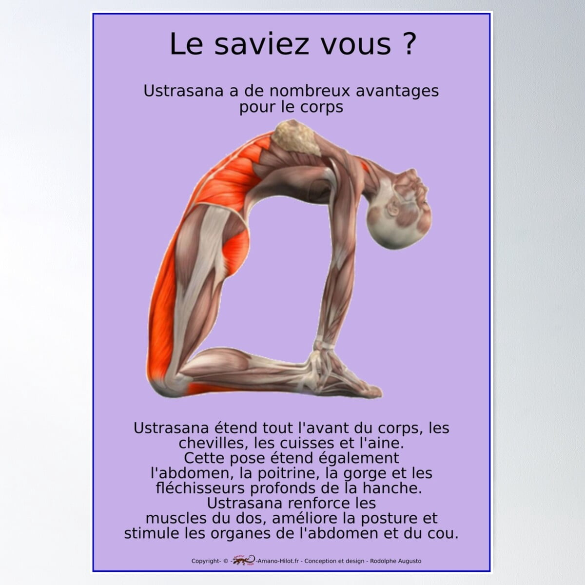Musculoskeletal Planks Of Yoga Positions - N ° 1 Poster Wall Art ...