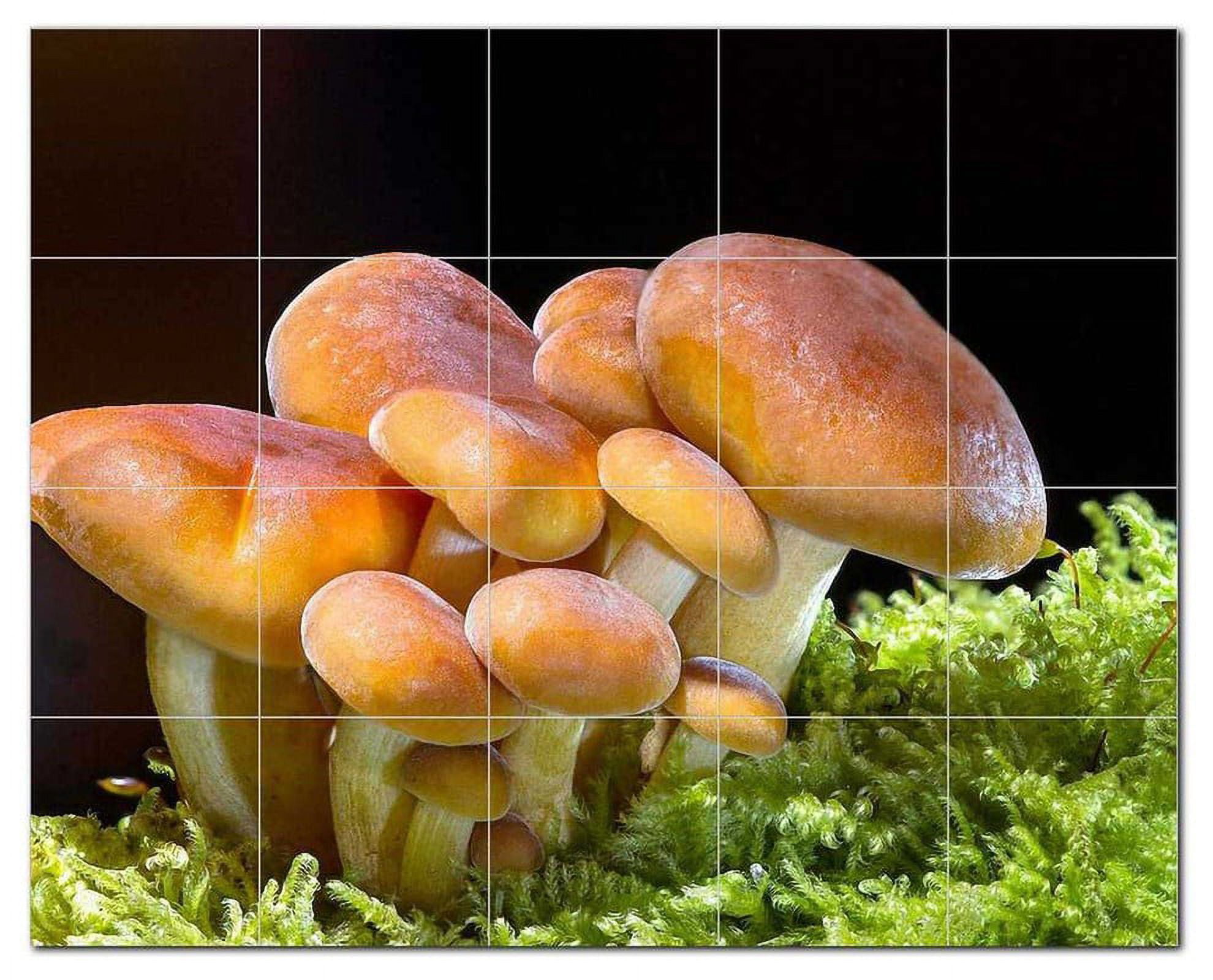 Mushroom Ceramic Tile Mural Kitchen Backsplash Bathroom Shower, 401199 ...