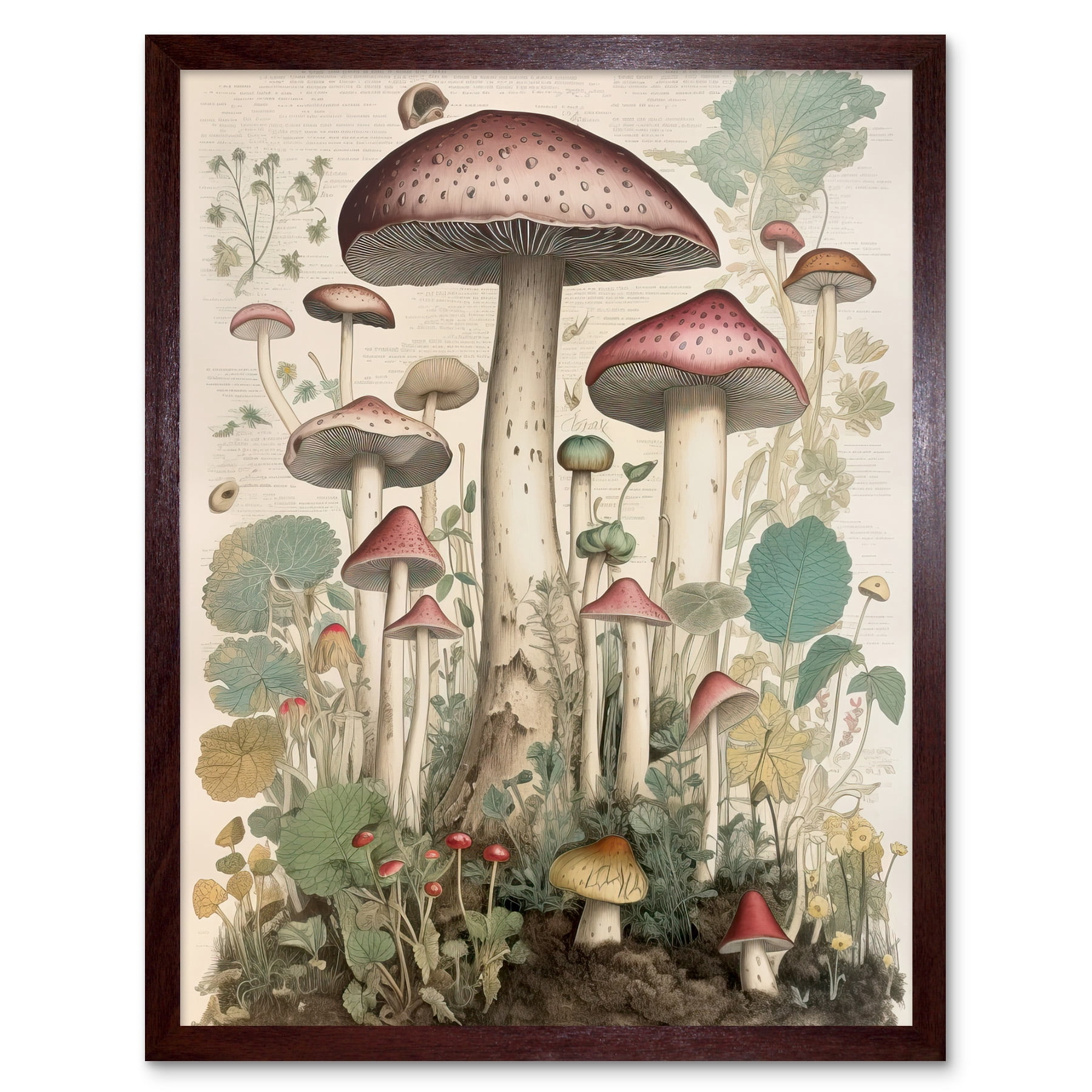 Mushroom Fungi Botanical Page Photograph Vintage Cottagecore Rustic ...