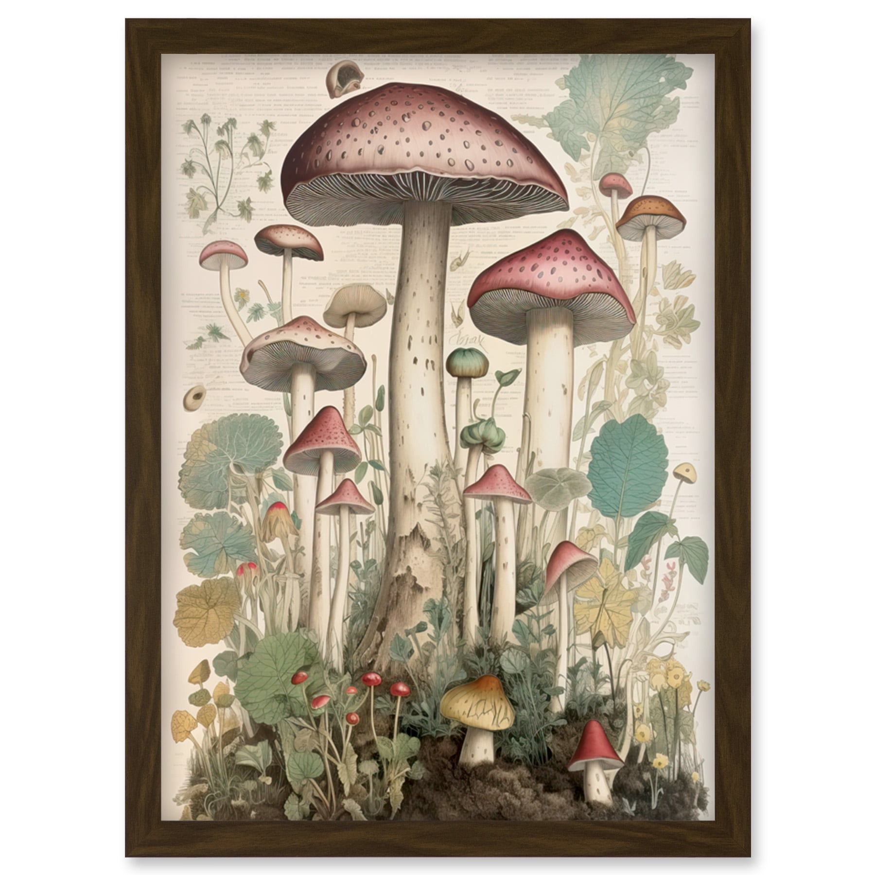 Mushroom Fungi Botanical Page Photograph Vintage Cottagecore Rustic ...