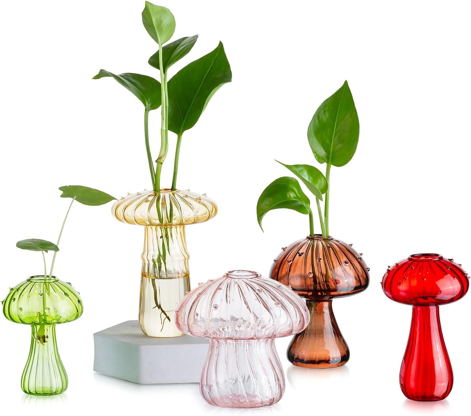Mushroom Small Glass Vase, Set of 5 Colored Plant Propagation Station ...