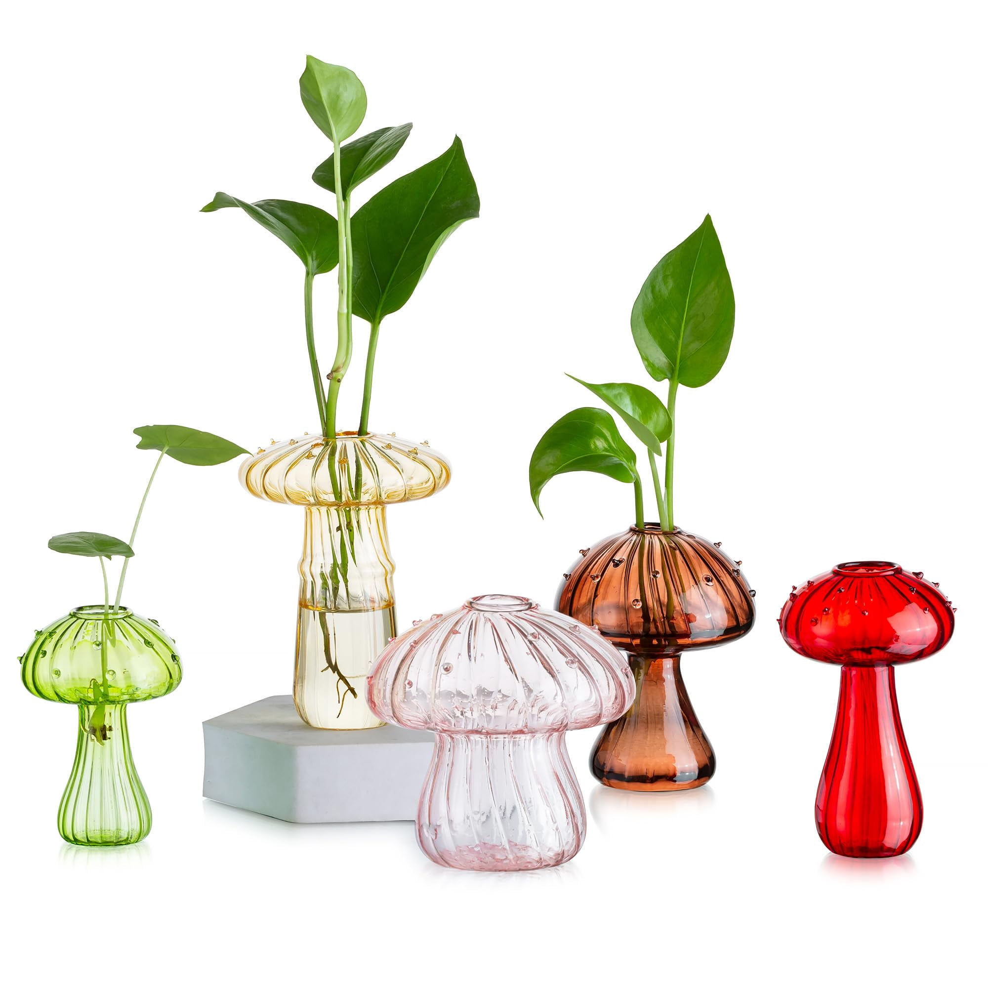 Mushroom Glass Planter, Set of 5 Colored Plant Propagation Station ...