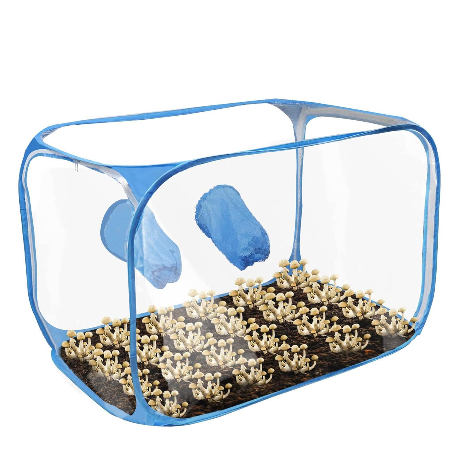 Mushroom Growing Box, Mushroom Nursing Air Box, Transparent Mushroom ...