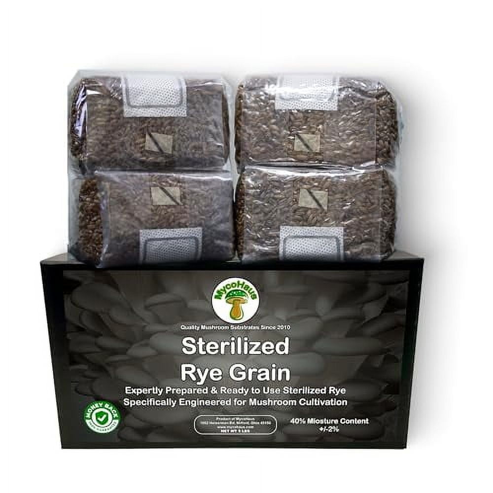 Mushroom Growing Kit with Injection Ports | Sterilized Rye Grain | Magic Indoor Grow Bags for ...