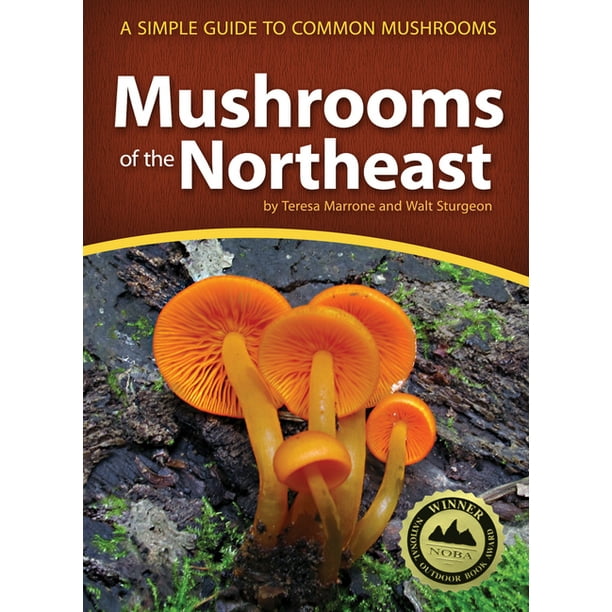 Mushroom Guides: Mushrooms of the Northeast : A Simple Guide to Common ...