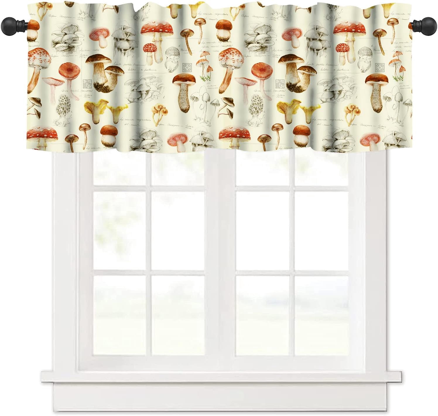 Mushroom Kitchen Curtains, Botanical Wild Herbs Leaves Valance for ...