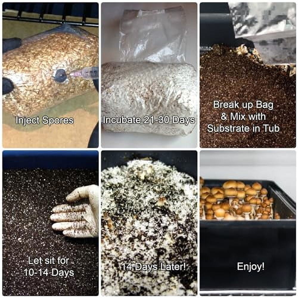 Mushroom Monotub Grow Kit | Complete Mushroom Grow Kit | for Dung-Loving Mushrooms | Includes ...