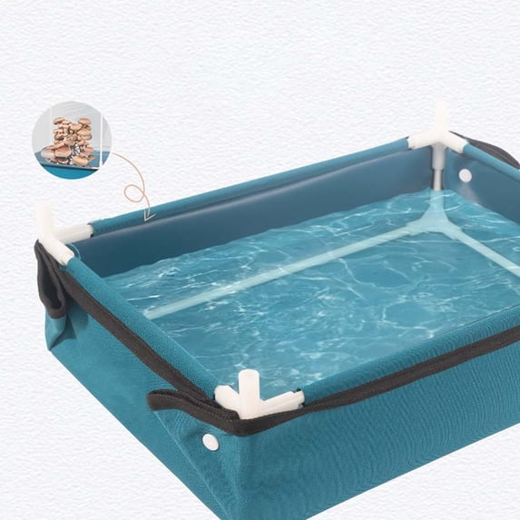 Mushroom Planting Box Cultivation Transparent Ecological Observation ...