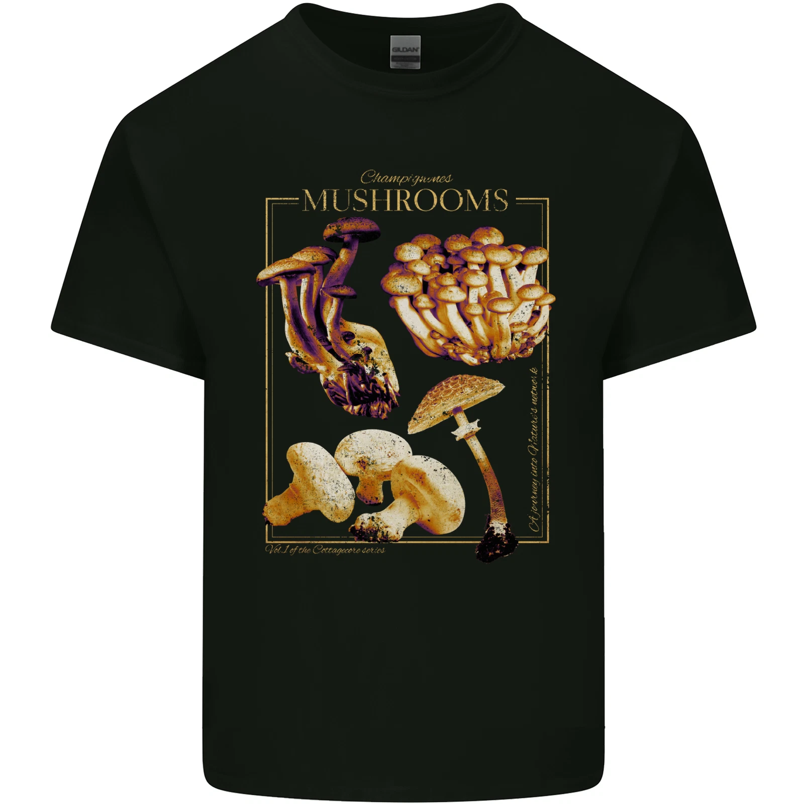Mushroom Species Mycology Foraging for a Fungi and Nature and Lover ...