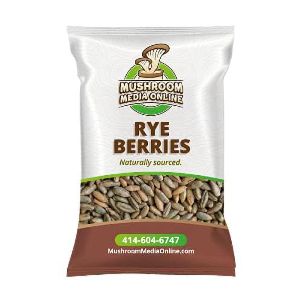 MushroomMediaOnline Whole Rye Berries for Mushroom Grain Spawn (10 ...