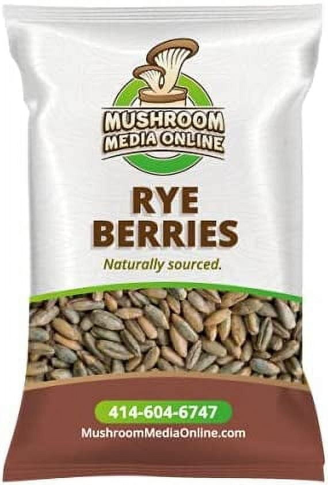 MushroomMediaOnline Whole Rye Berries for Mushroom Grain Spawn 2 Pounds ...