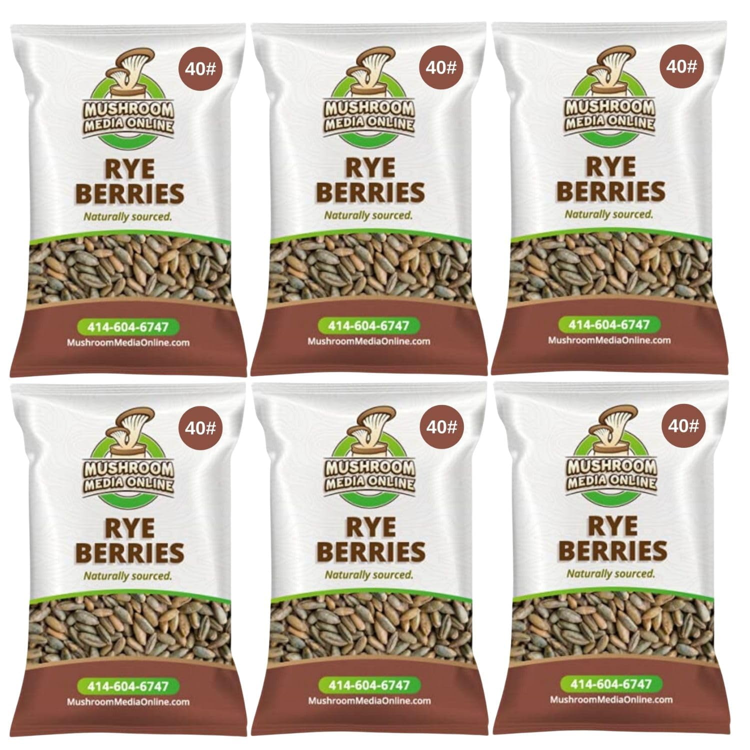 MushroomMediaOnline Whole Rye Berries for Mushroom Grain Spawn (240 ...