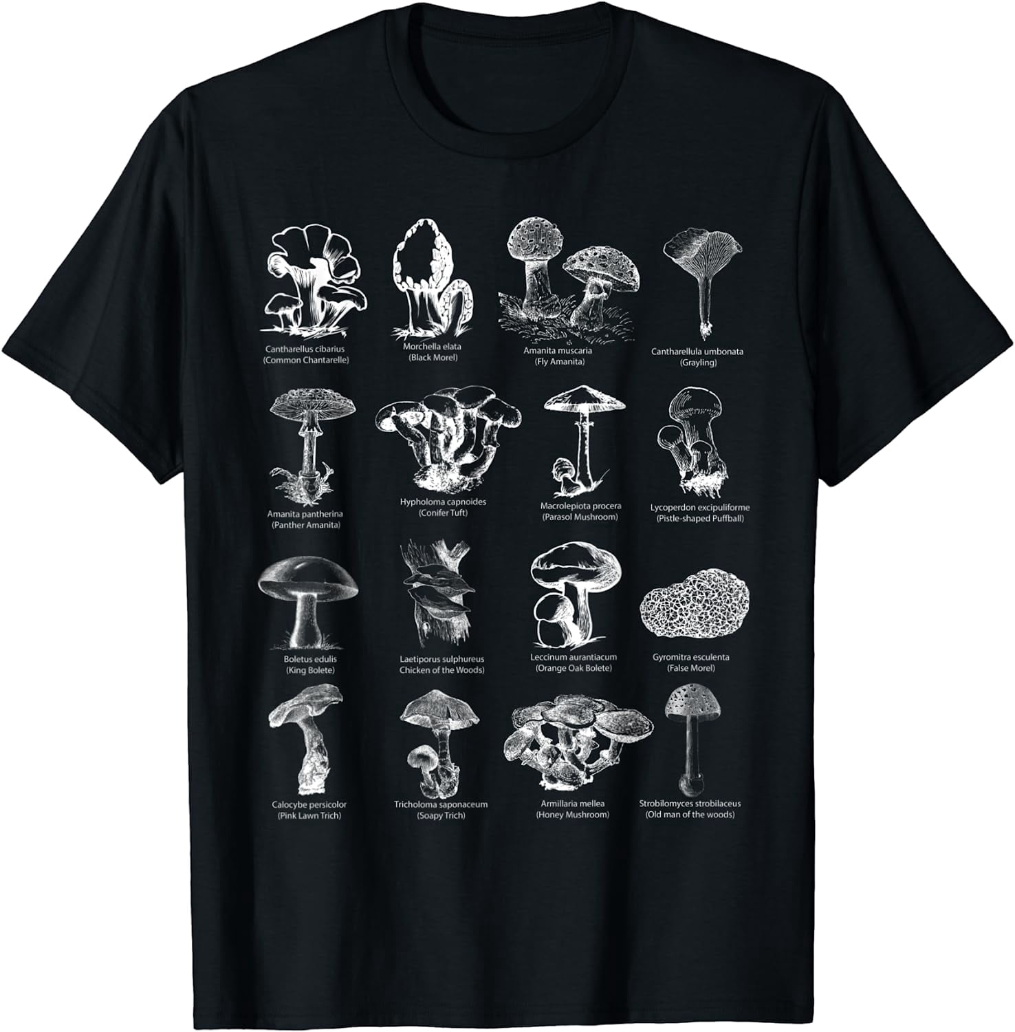Mushrooms Identification Chart Vintage Mushroom Collections T-Shirt ...