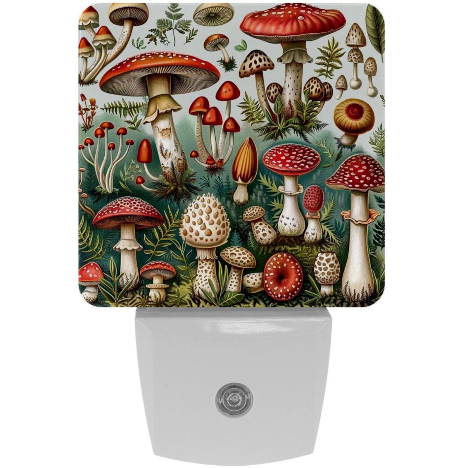 Mushrooms LED Square Night Light - Energy Efficient and Stylish ...