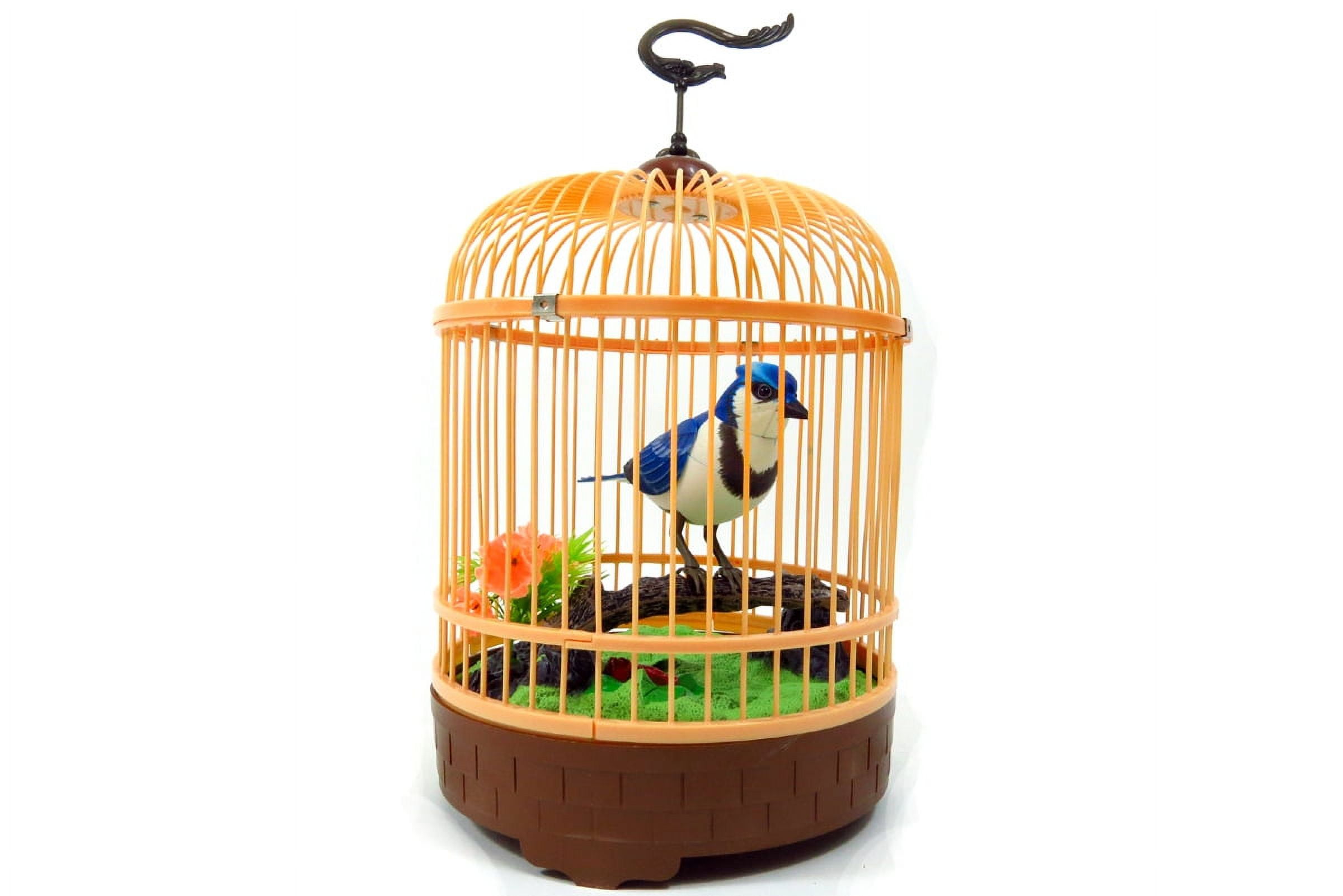 Music Magic Singing & Chirping Bird in Cage - Realistic Sounds ...