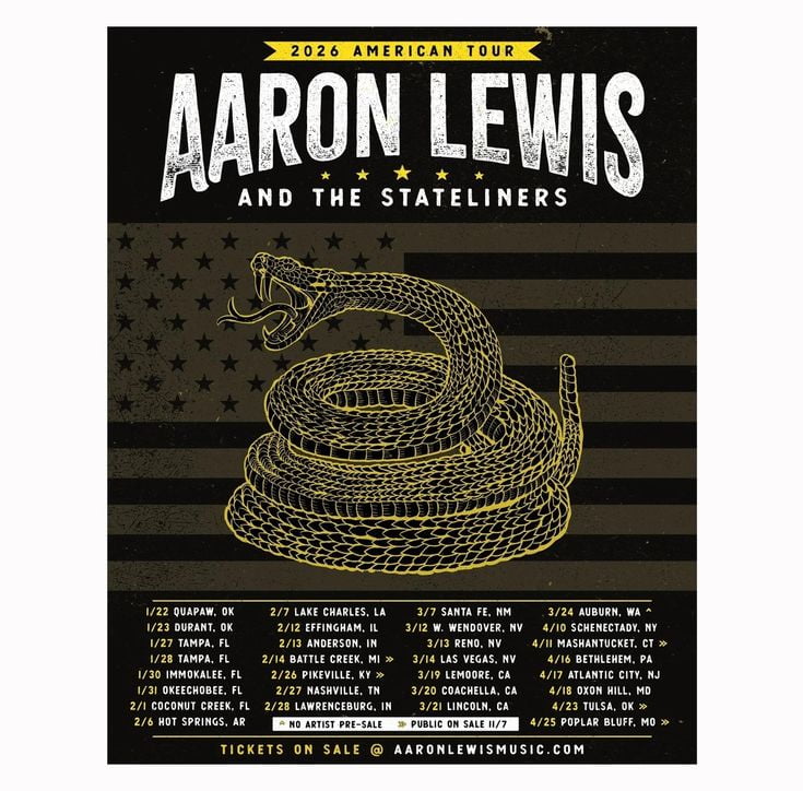 Music Poster - Aaron Lewis The 2026 American Tour Poster - Vintage ...