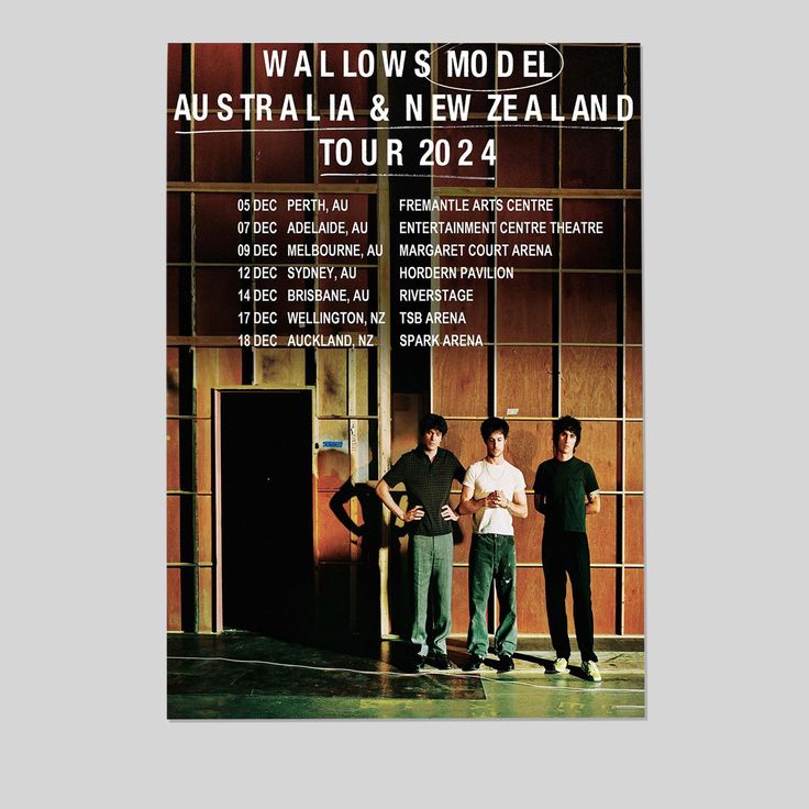 Music Poster -Wallows Band 2025, Wallows Tour 2024 Poster - Vintage ...