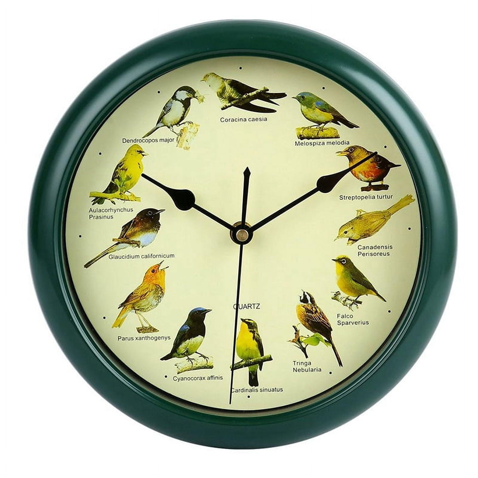 Musical Bird Wall Clock, Decorative Battery Powered, Melody Clock, Room ...