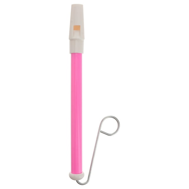 Musical Instrument Slide Whistle Toy Premium Slide Whistle Durable ...