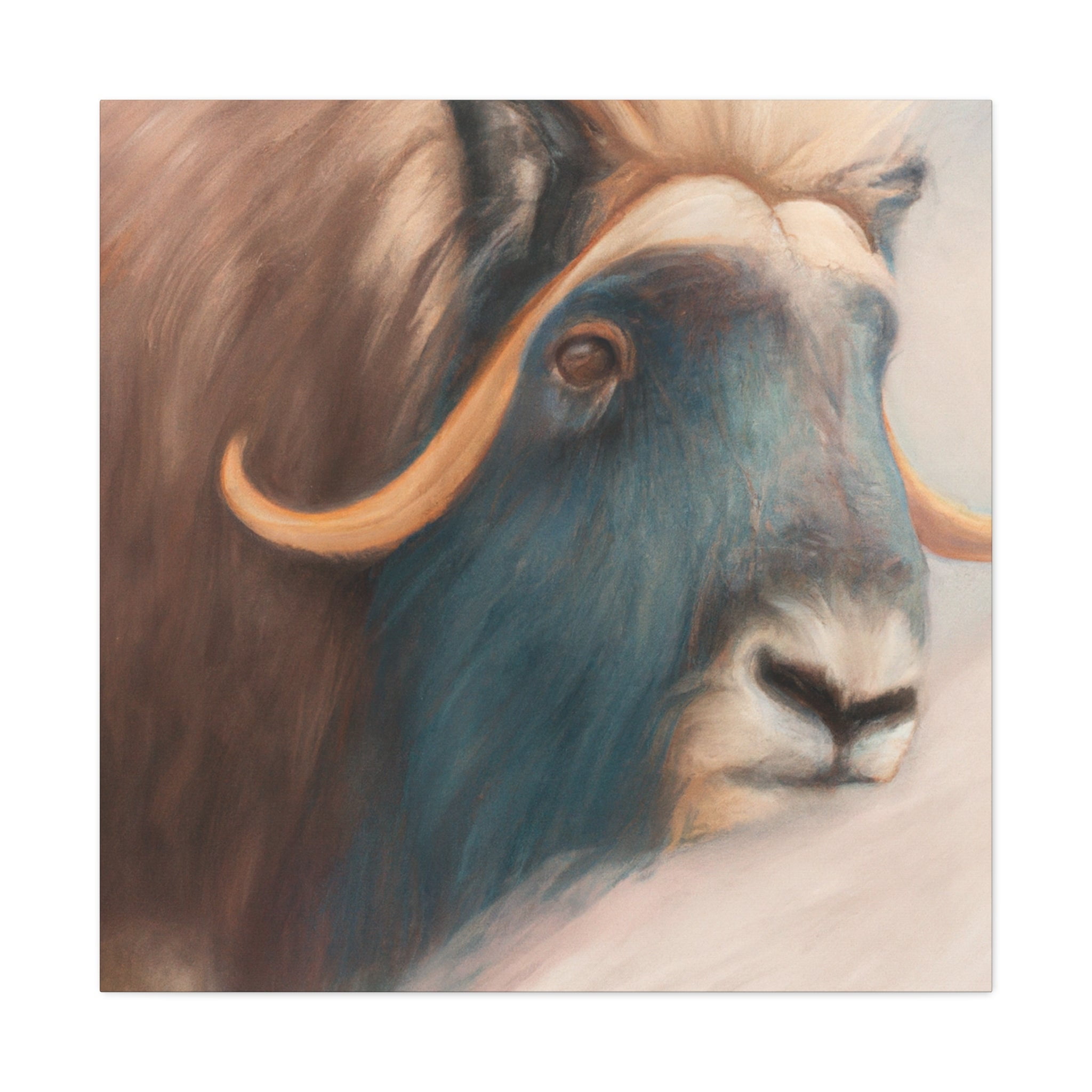 "Musk Ox Grandeur Scene" - Canvas - Walmart.com