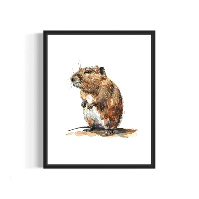 Muskrat Watercolor Style Animal Art Print Poster City Wall Art Painting ...