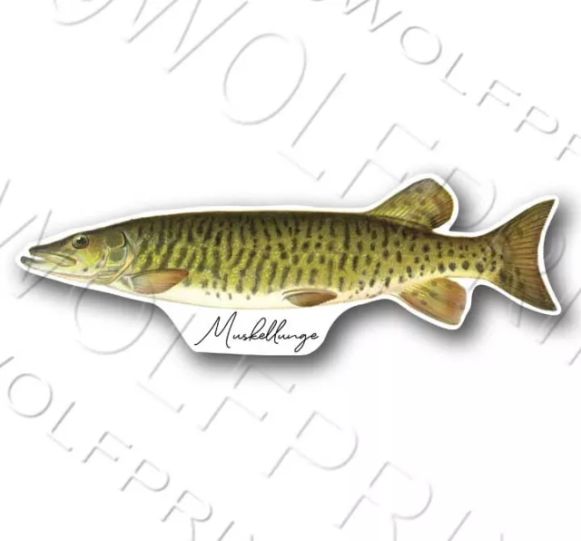 Musky Northern Pike Fish Sticker Bass Trout Boat Car Window Sticker ...