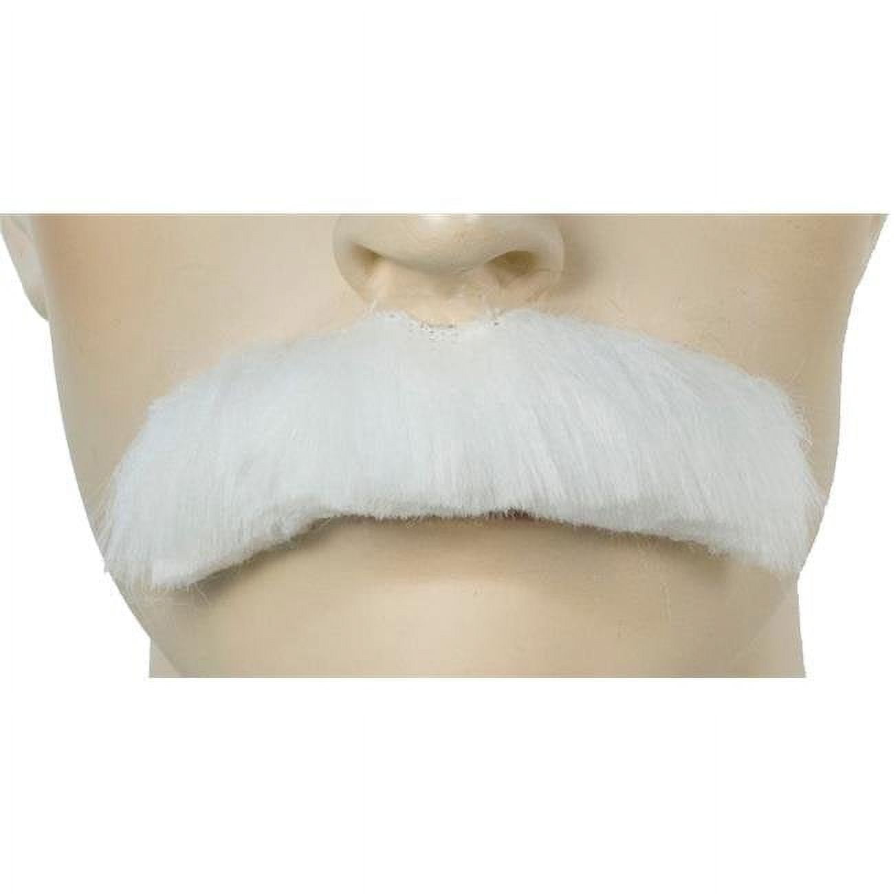 Mustache Einstein White Wig Costume - Walmart.com