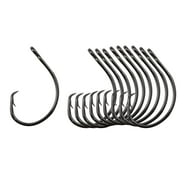 Daiichi Circle Wide Hook Black Nickel Size 5/0 14ct - Walmart.com