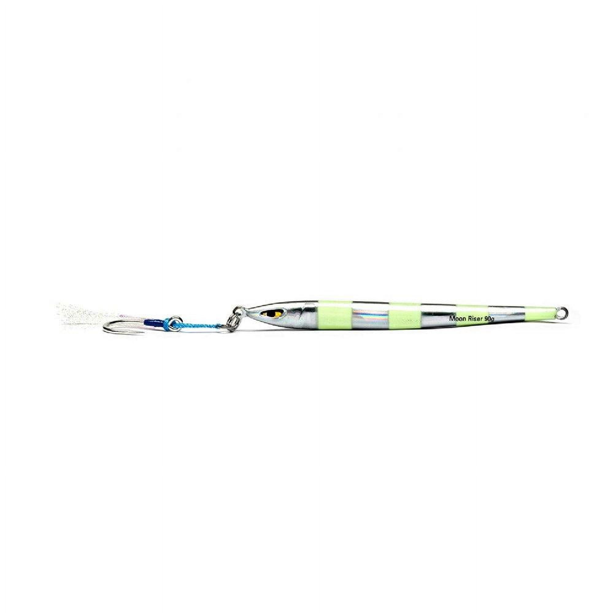 Mustad Moon Riser Vertical Jig MJIG03 Full Chrome, 300g Jigs - Walmart.com