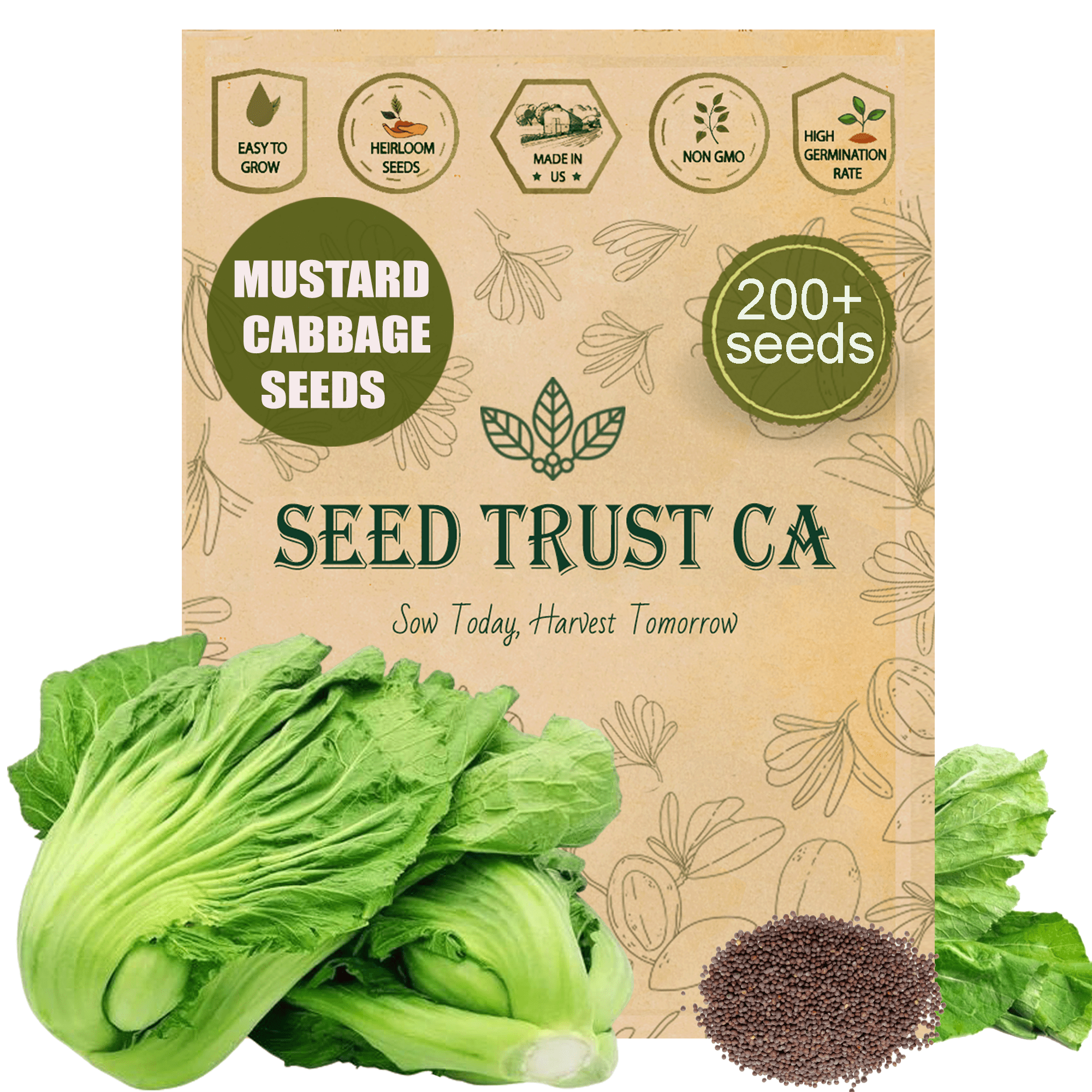 Mustard Cabbage Seeds for Planting – 200+ Non-GMO Seeds – Original Bold ...