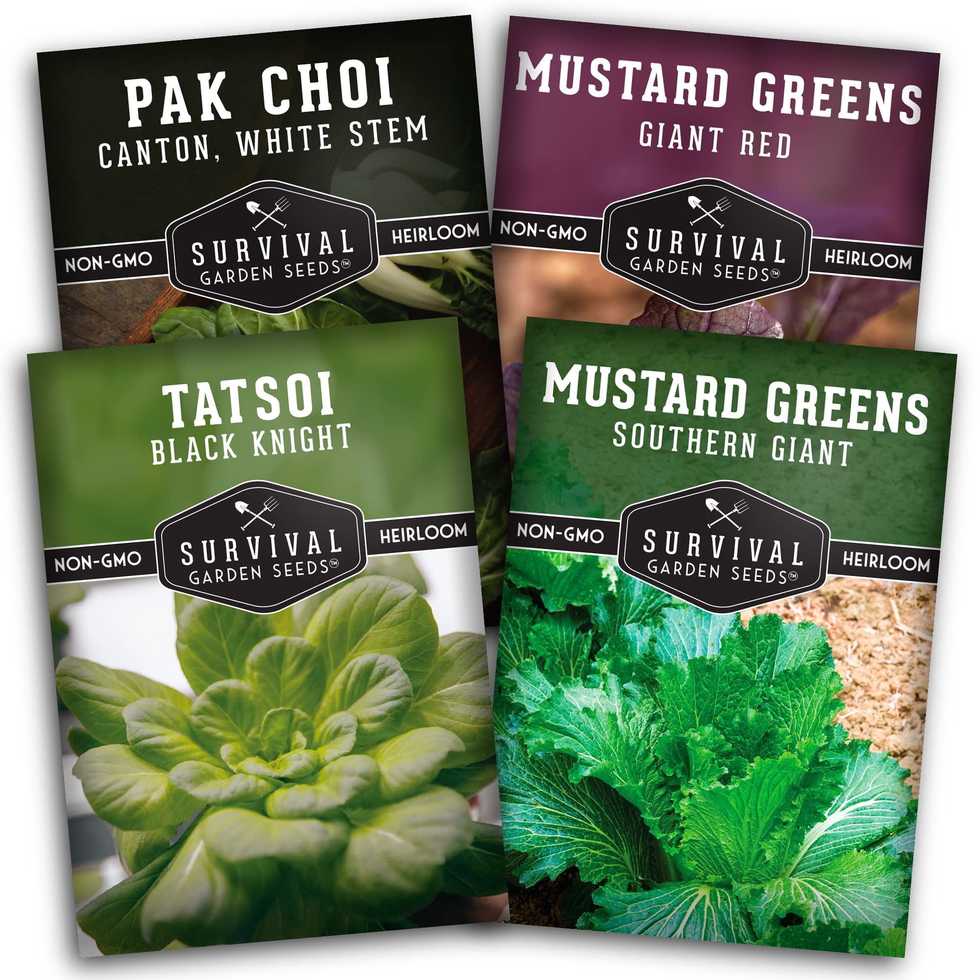 Mustard Green SeedUMRT Collection - 4 Packets for Planting Black Tatsoi ...