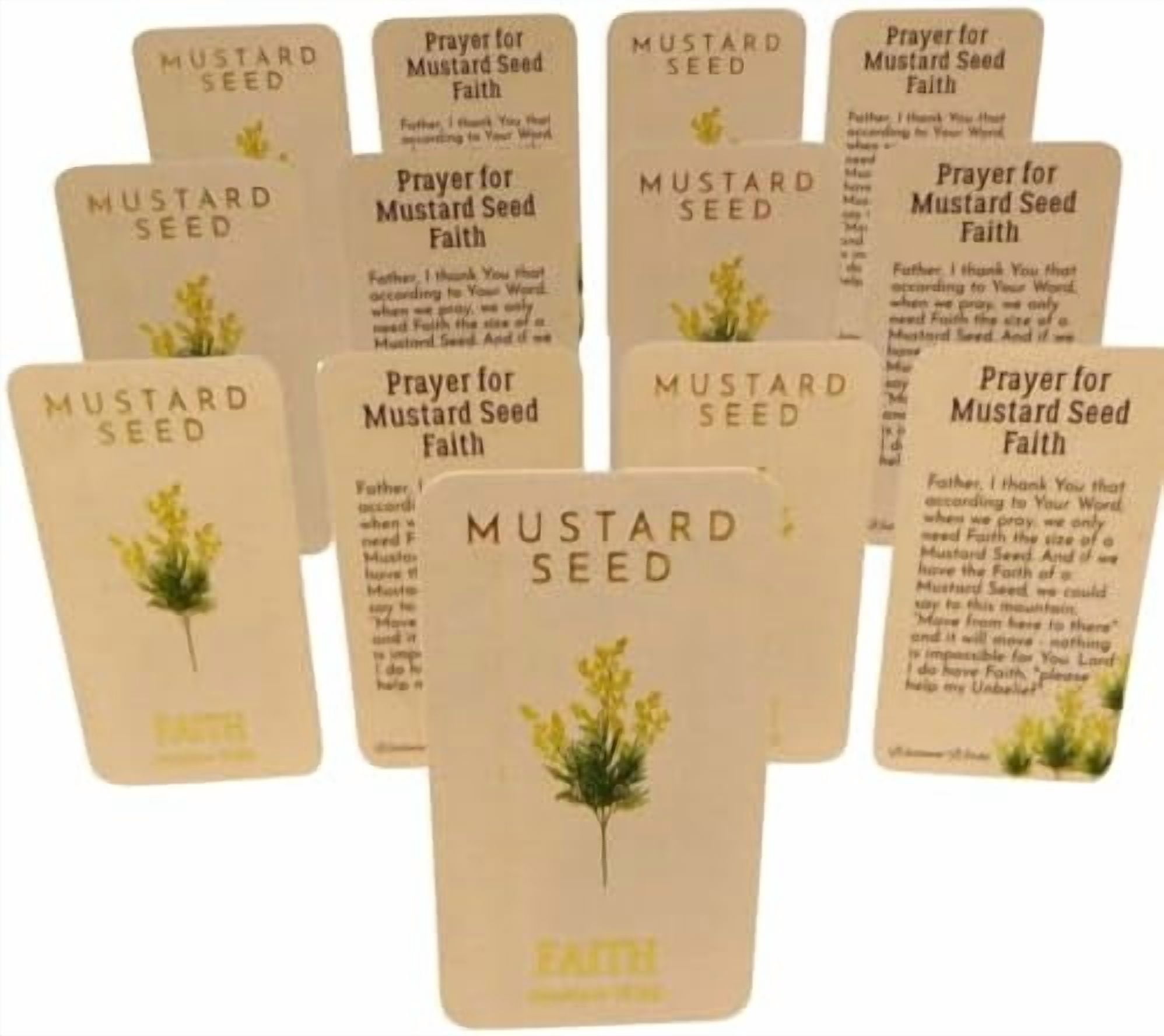 Mustard Seed Holy Card Bulk Pack Bundle Matthew 17:20 Faith Prayer, Set ...