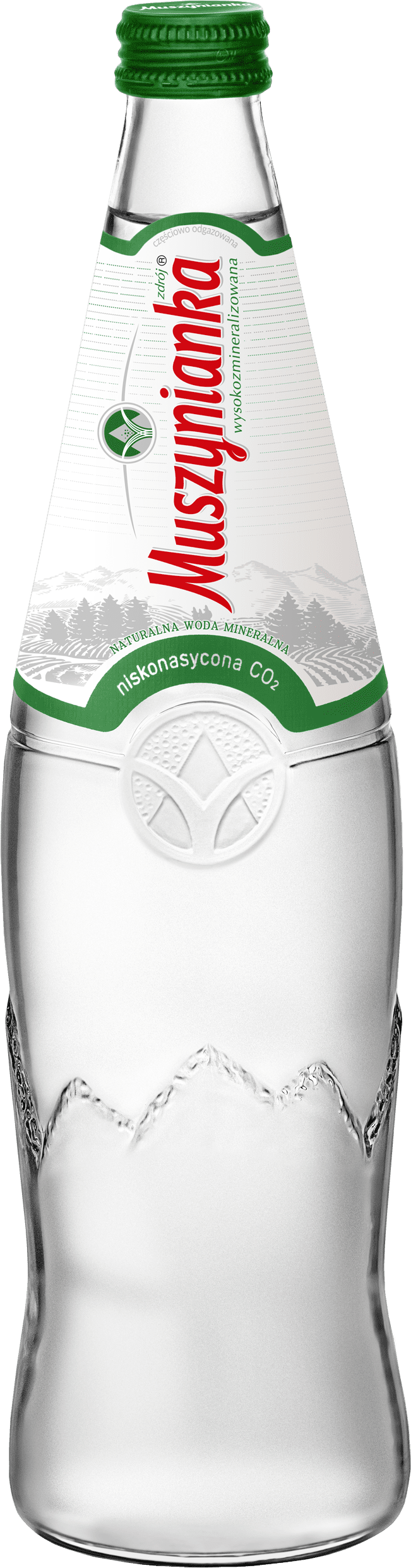 Imported Muszynianka Natural Lightly Carbonated Mineral Water, 700ml ...