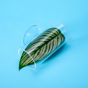SEESHELTER Betta Tunnel Translucent Clear Fish Hide Aquarium Decor ...